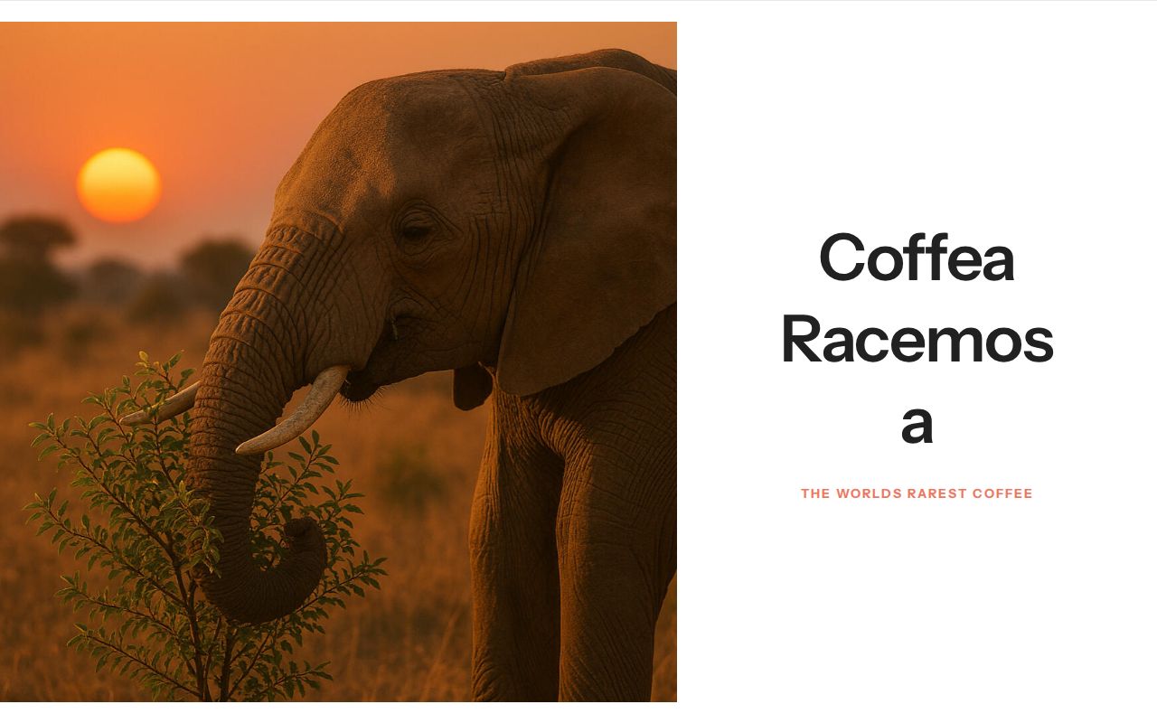 Racemosa.coffee
